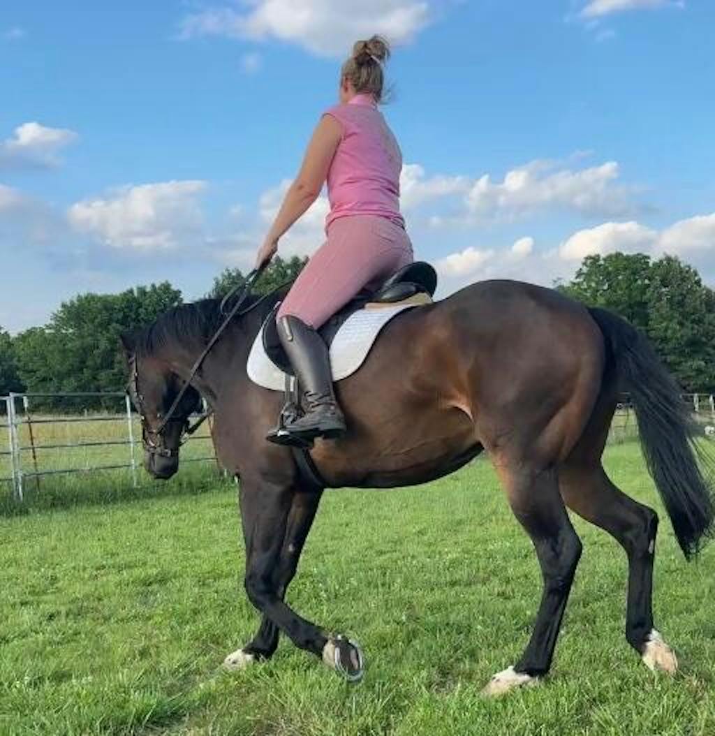 Dragon Rhinestone breeches full seat (Pink) – Sync Equestrian