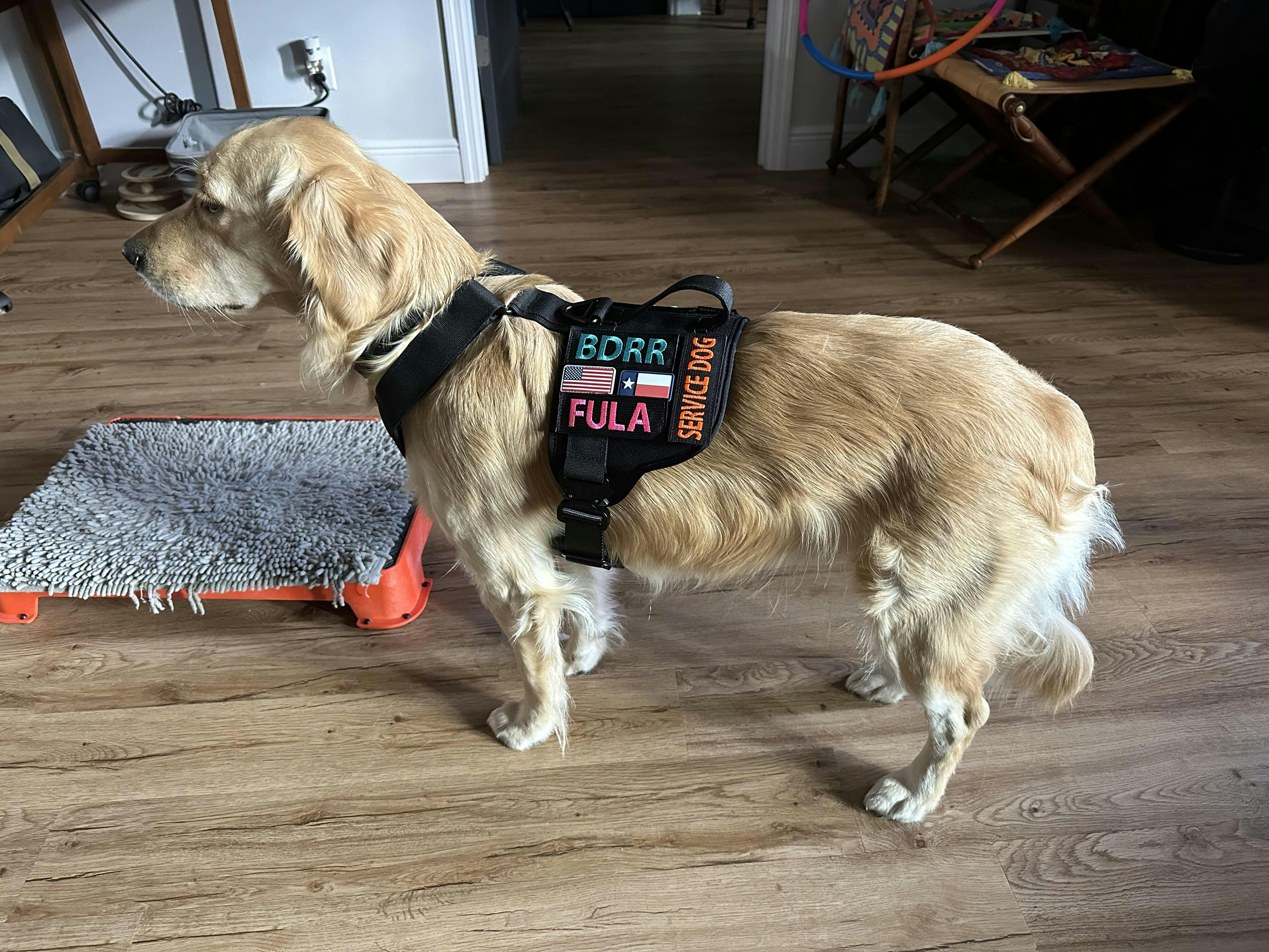 Extreme Tactical Dog Harness with Metal Buckles | Tactipup