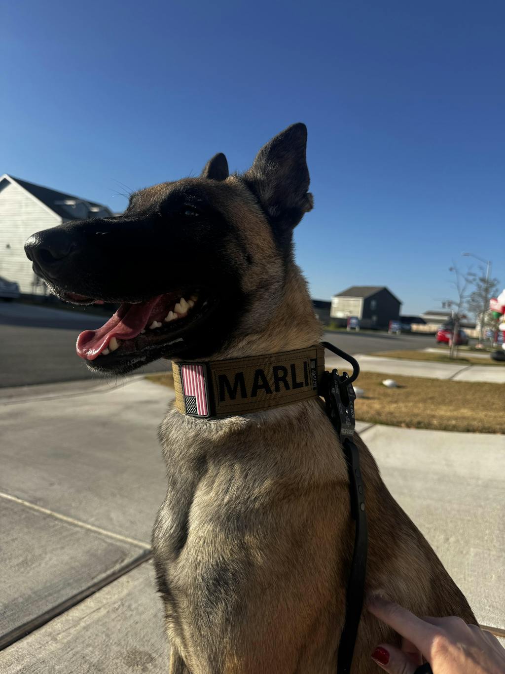 Extreme Biothane Dog Leash | Tactipup Durable Dog Leashes