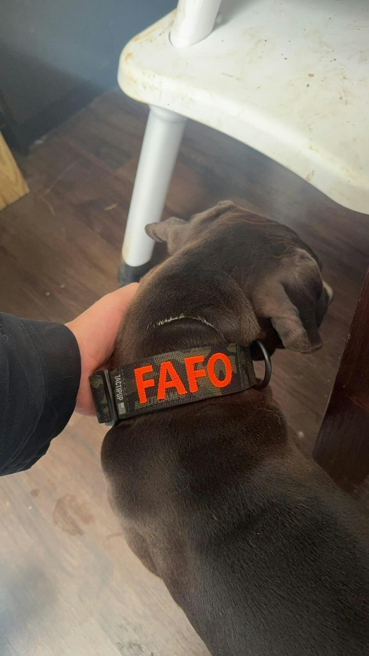 Extreme Customized Tactical 1.5" Dog Collar | Tactipup