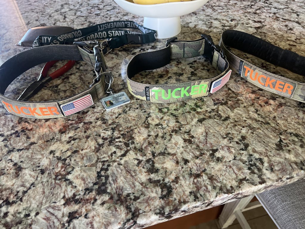Custom 1.5" Basic Tactical Dog Collars | Tactipup Dog Gear