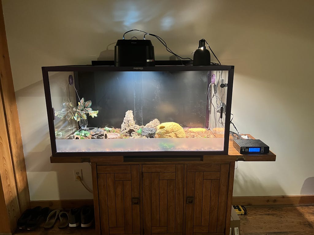 Slow Feeder Bowls: A Game-Changer for Your Dog's Mealtime – Talis Us