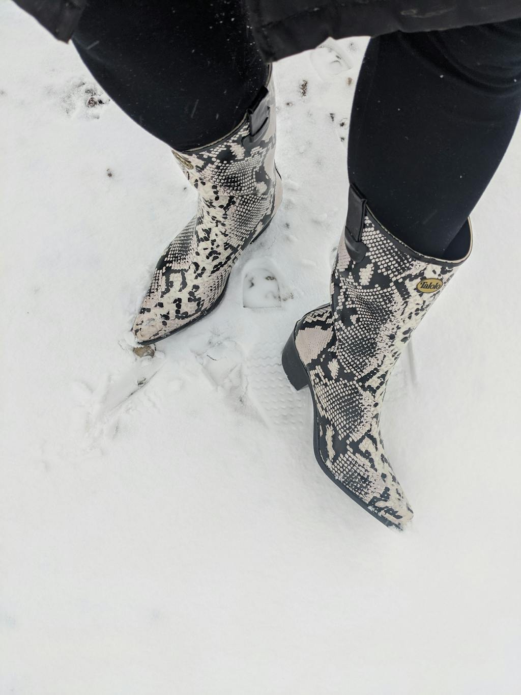 Bandy Snake Boot | Talolo Boots | Snakeskin pattern waterproof cowboy ...