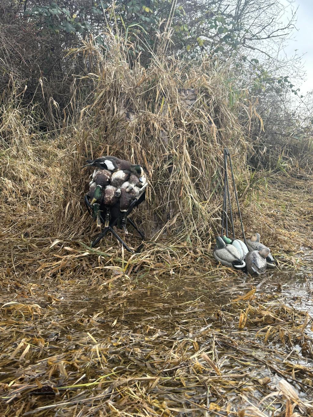 Flight Series 360 Solo Blind - Optifade Marsh – Tanglefree Shop