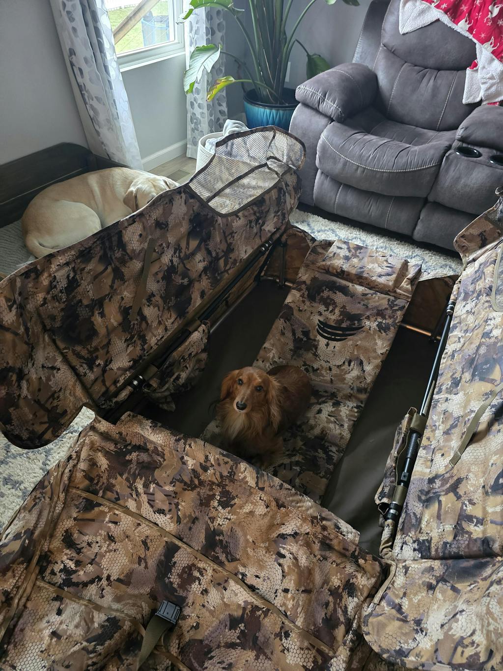 Flight Series Snap Layout Blind - Optifade Marsh – Tanglefree Shop