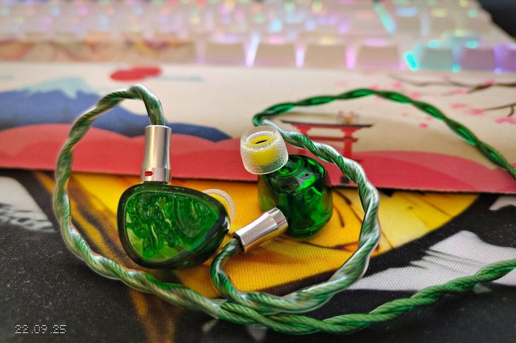 TANGZU WAN ER SG Hifi in Ear New 10mm Dynamic Driver Earphone