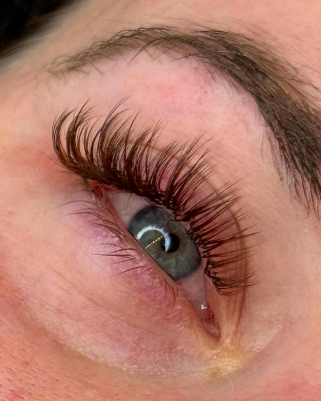 Chocolate Brown Mixed Lashes | Tatti Lashes®