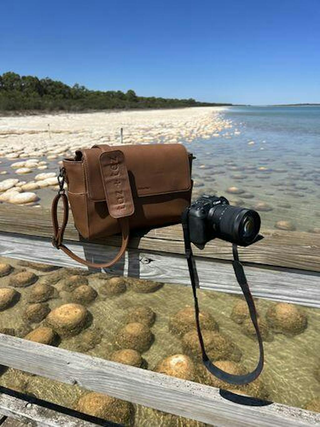 Stylish Camera Bag (Tan) | taz + tez Camera Bags – Taz + Tez