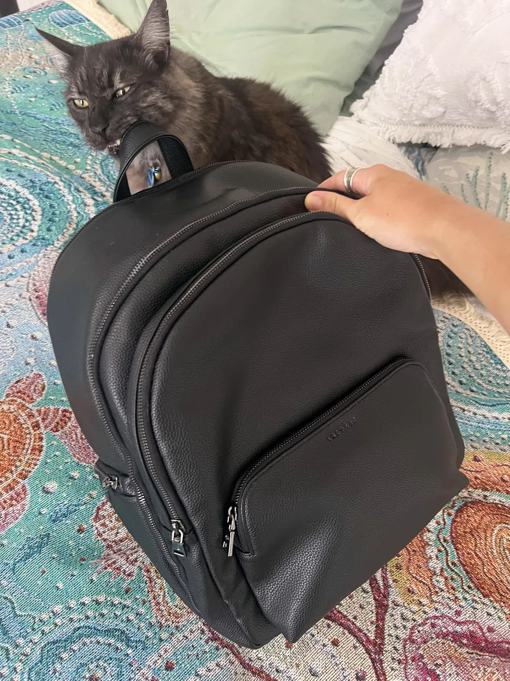 taz + tez Stylish Cameras Bags | Tildy Carryall Camera Backpack – Taz + Tez