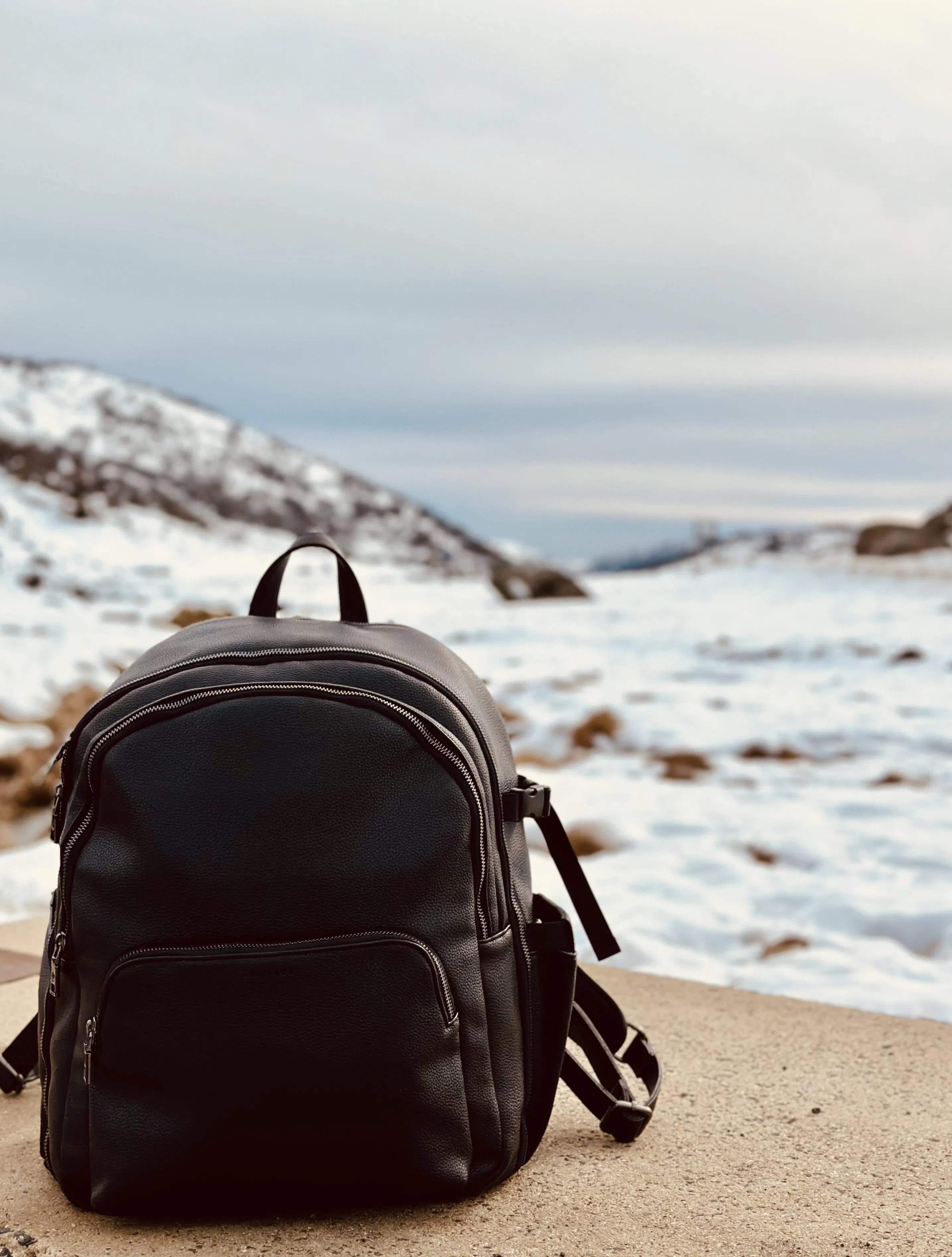 taz + tez Stylish Cameras Bags | Tildy Carryall Camera Backpack – Taz + Tez