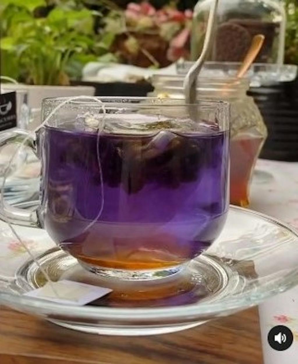 Buy Blue Pea Flower Green Tea