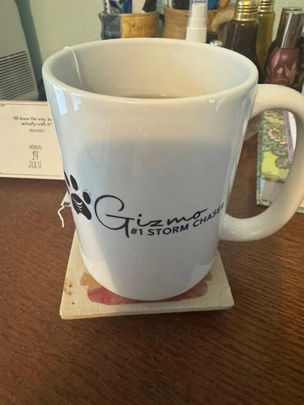 Gizmo Pin-Up Mug – Team Dominator Store