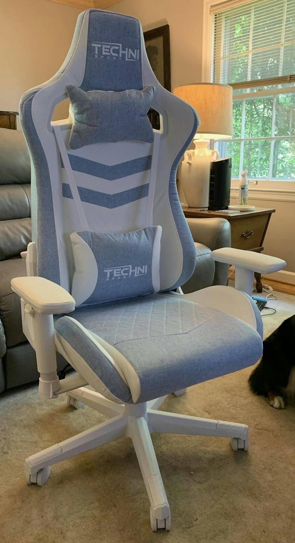 Gaming Chairs & Desks | Techni Sport Official Website