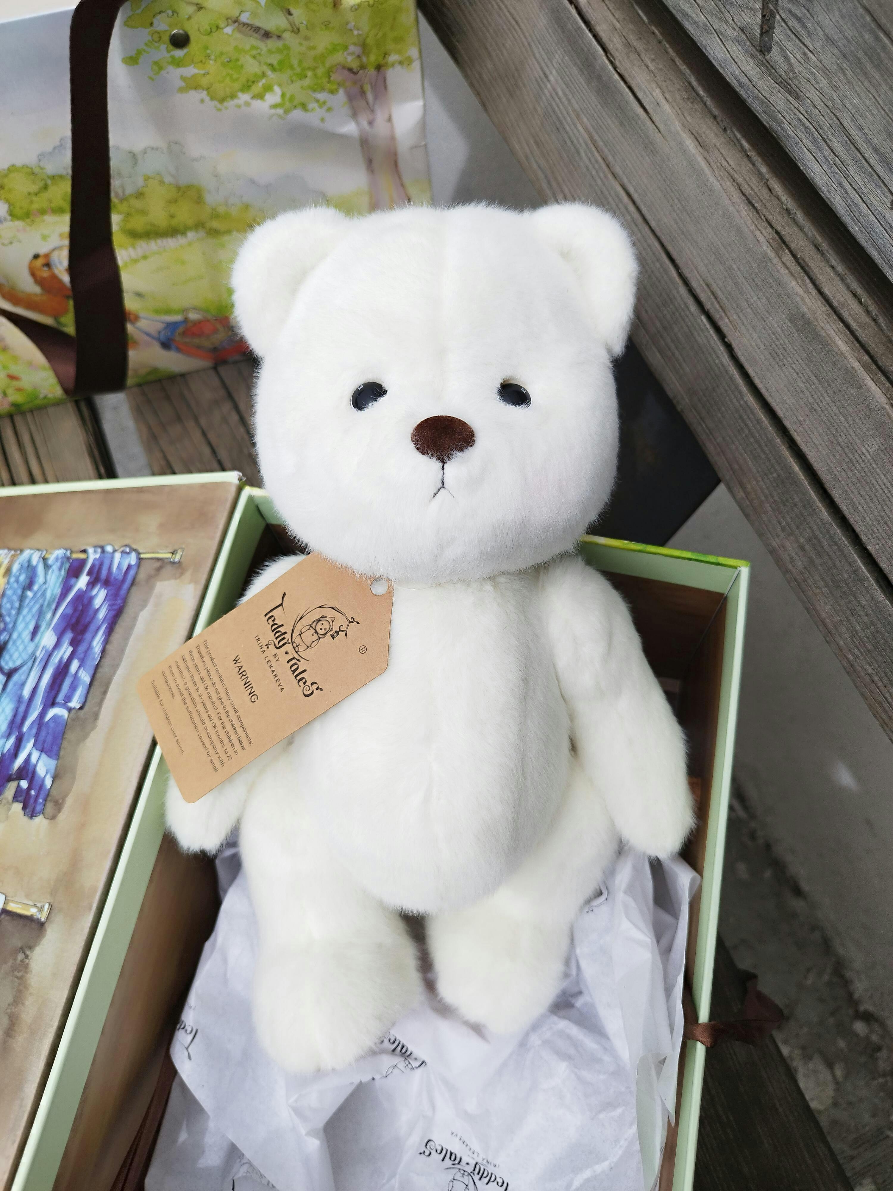 The Official TeddyTales Store | TeddyTales