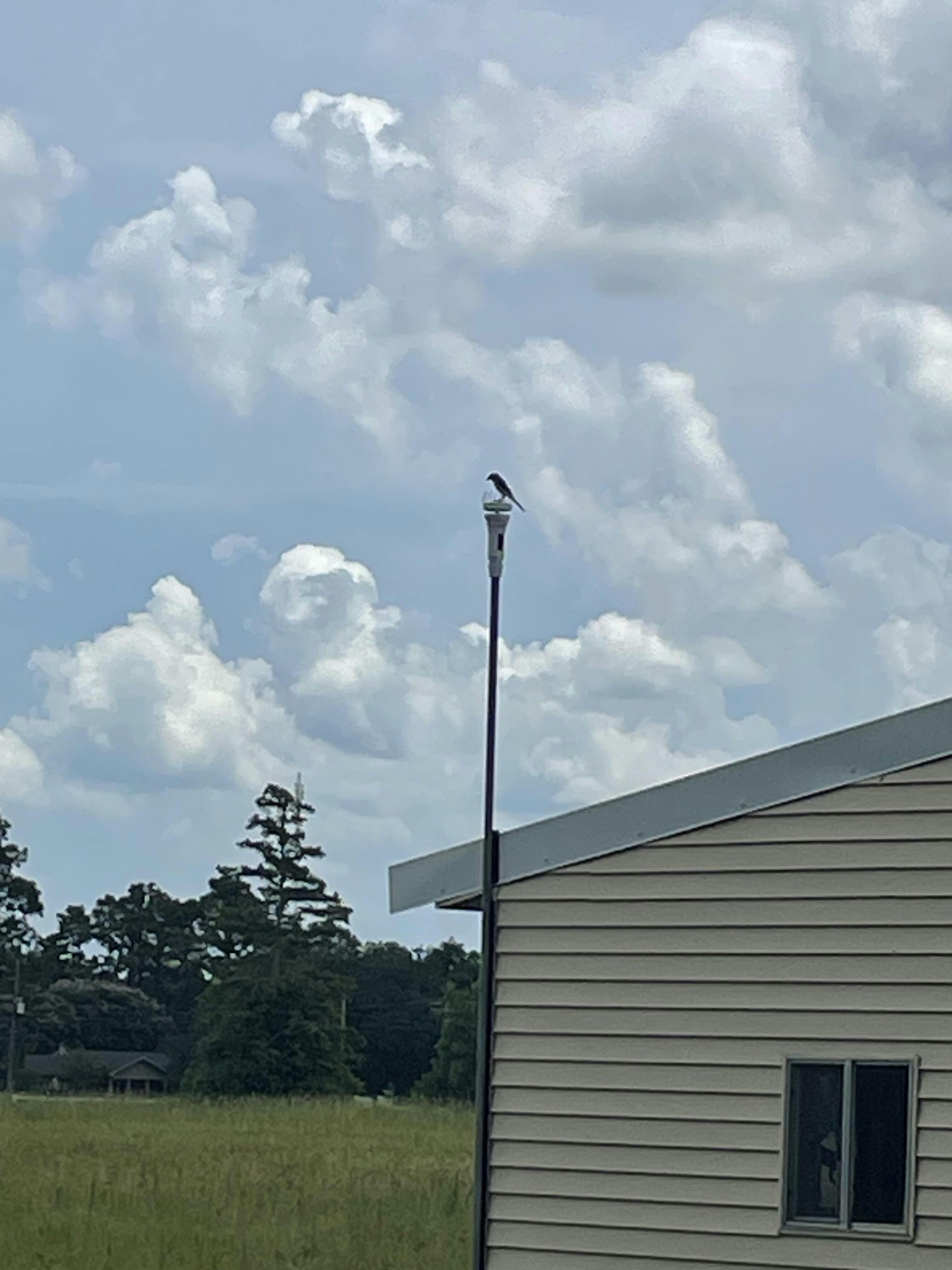 Tempest Home Weather Station