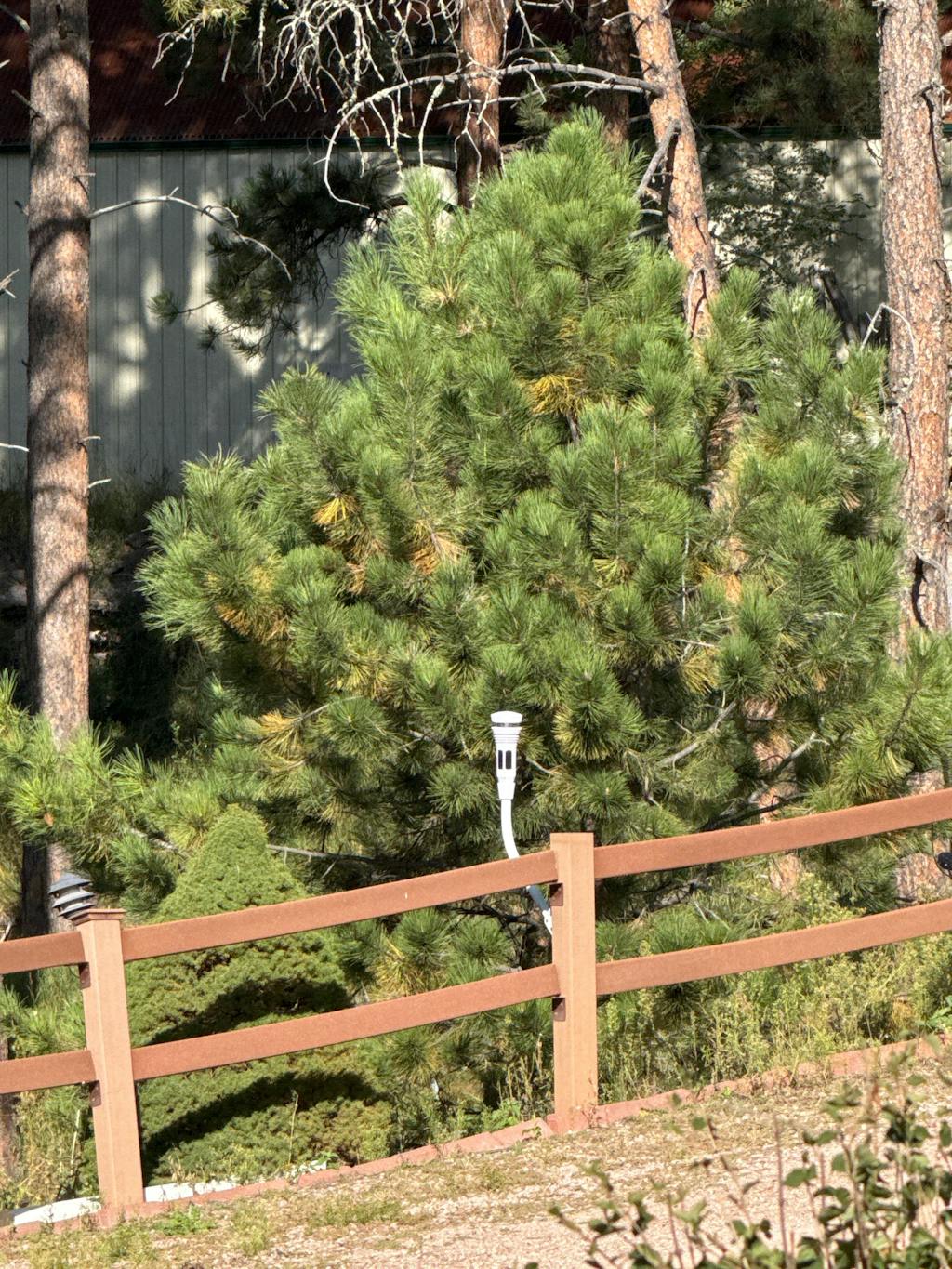 Tempest Home Weather Station