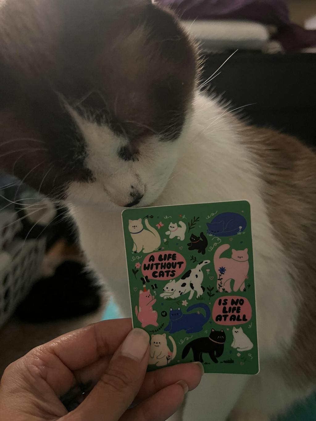 Current Existential Crisis Sticker – Tender Ghost