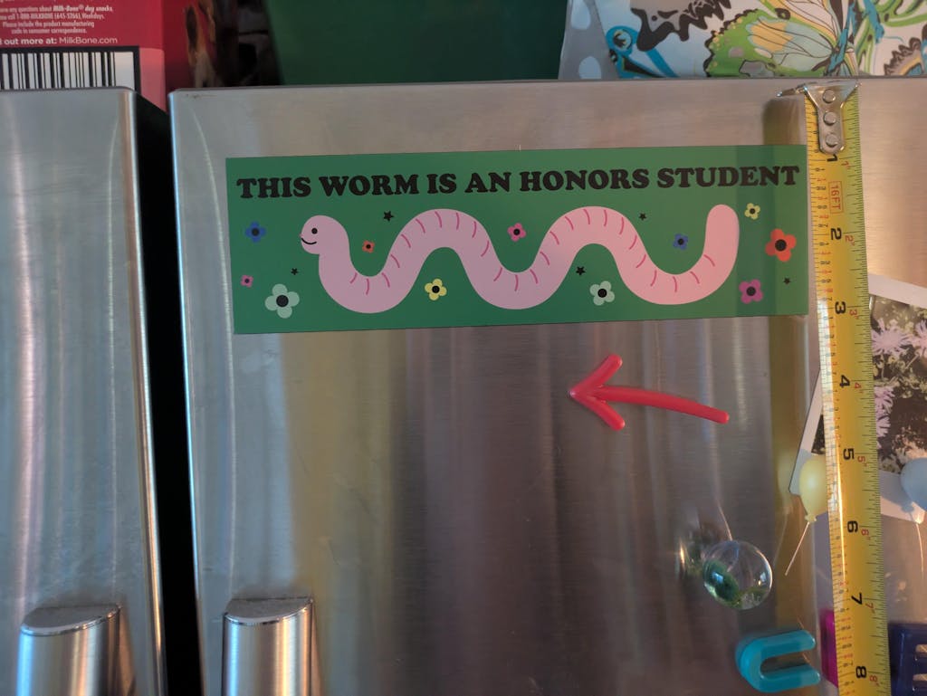 I Brake For All Creatures Bumper Magnet – Tender Ghost