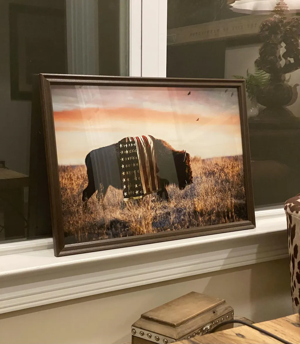 Patriotic Canvas Wall Decor | American Bison Art - Teri James Photography