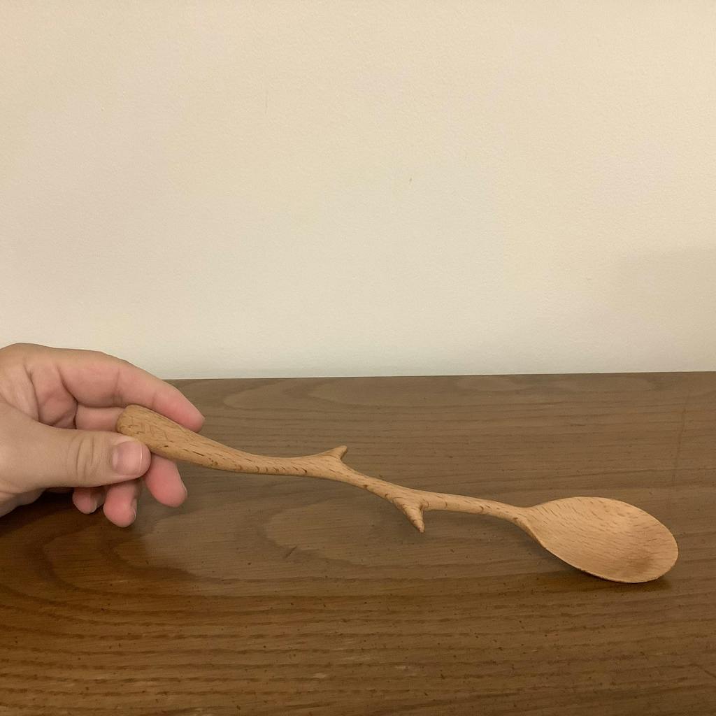 Fantasy Style Natural Beechwood Branch Serving Spoon – Terra Powders