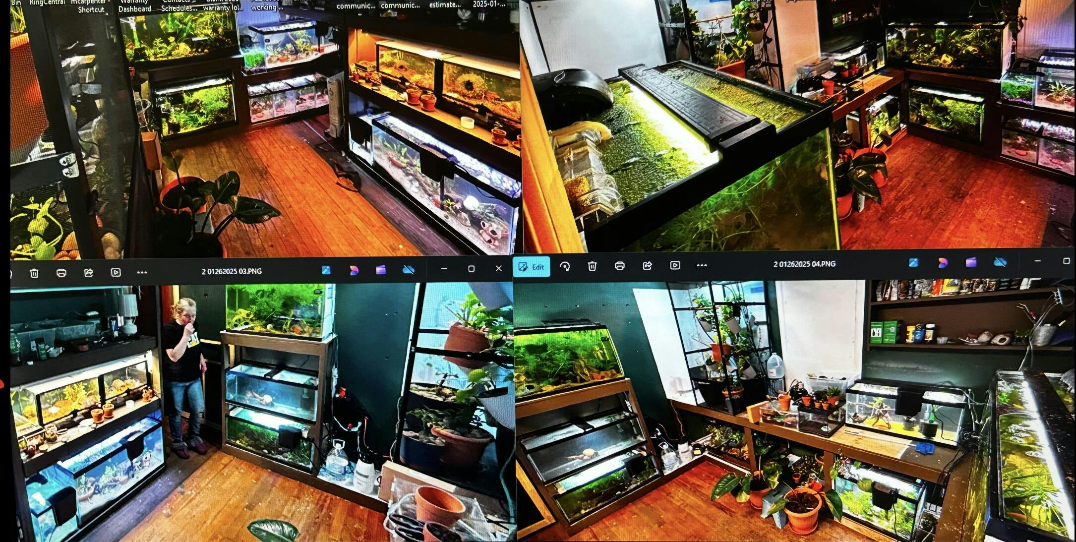 How To Make a Terrarium - A Complete Beginners Guide – Terrarium Designs