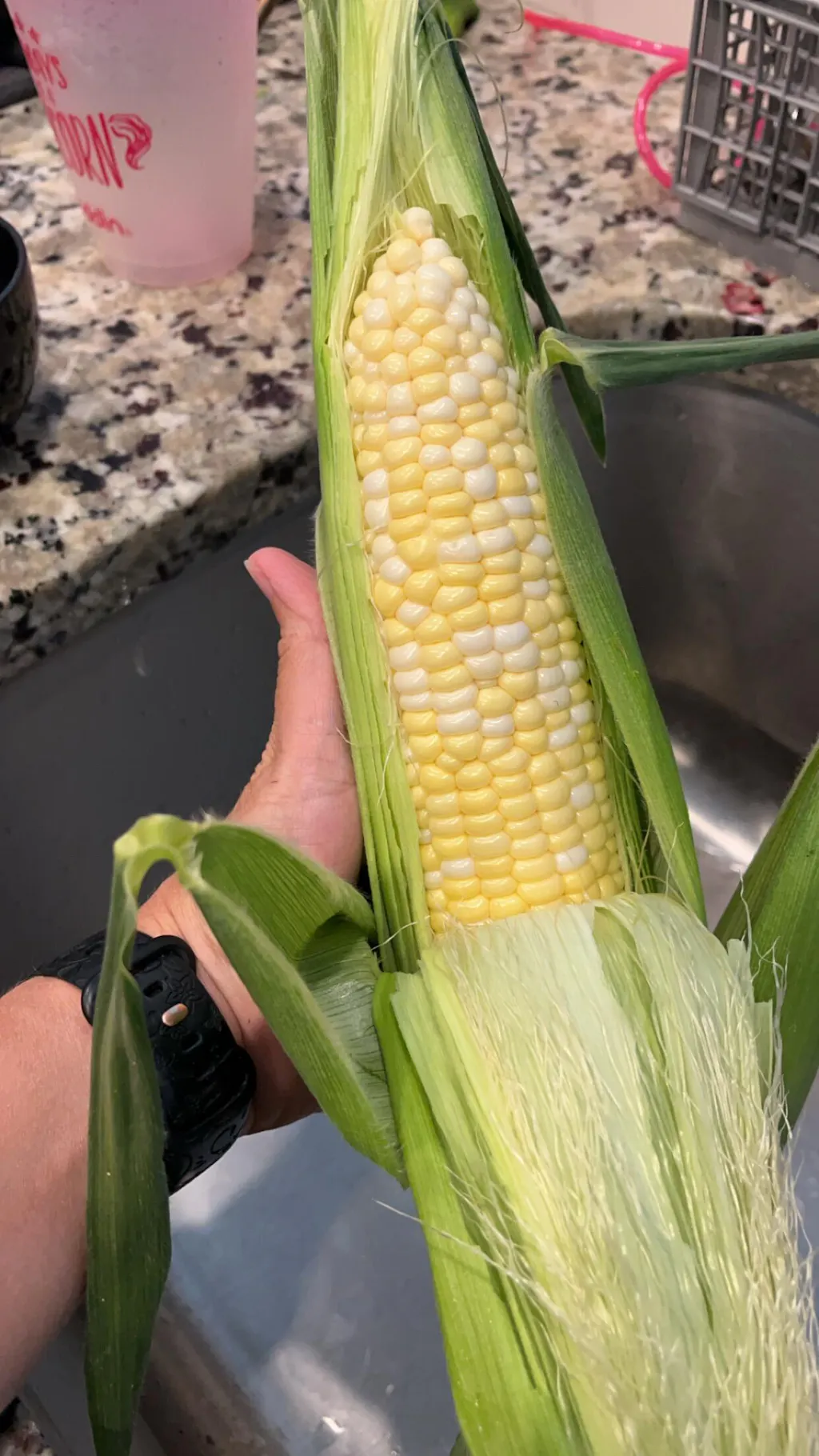 My Fair Lady corn seed - Territorial Seed Company | ORGANIC SEED / 100 ...