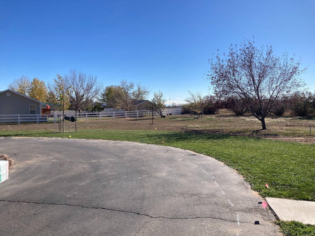 EcoEase Microclover & Fescue Lawn Mix | Easy to maintain lawn ...