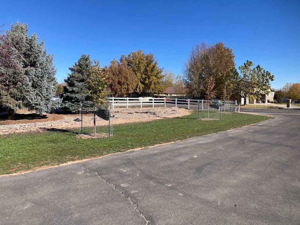 EcoEase Microclover & Fescue Lawn Mix | Easy to maintain lawn ...