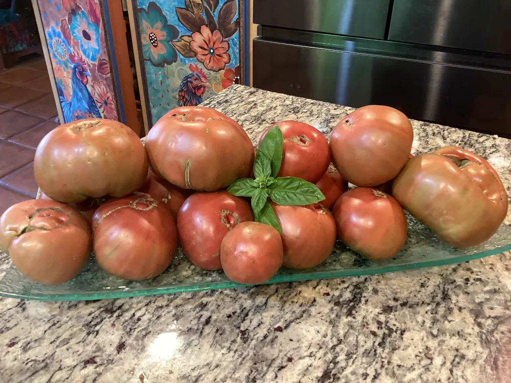 Heirloom Marriage™ Cherokee Carbon Tomato Seed | ORGANIC SEED / 20 ...