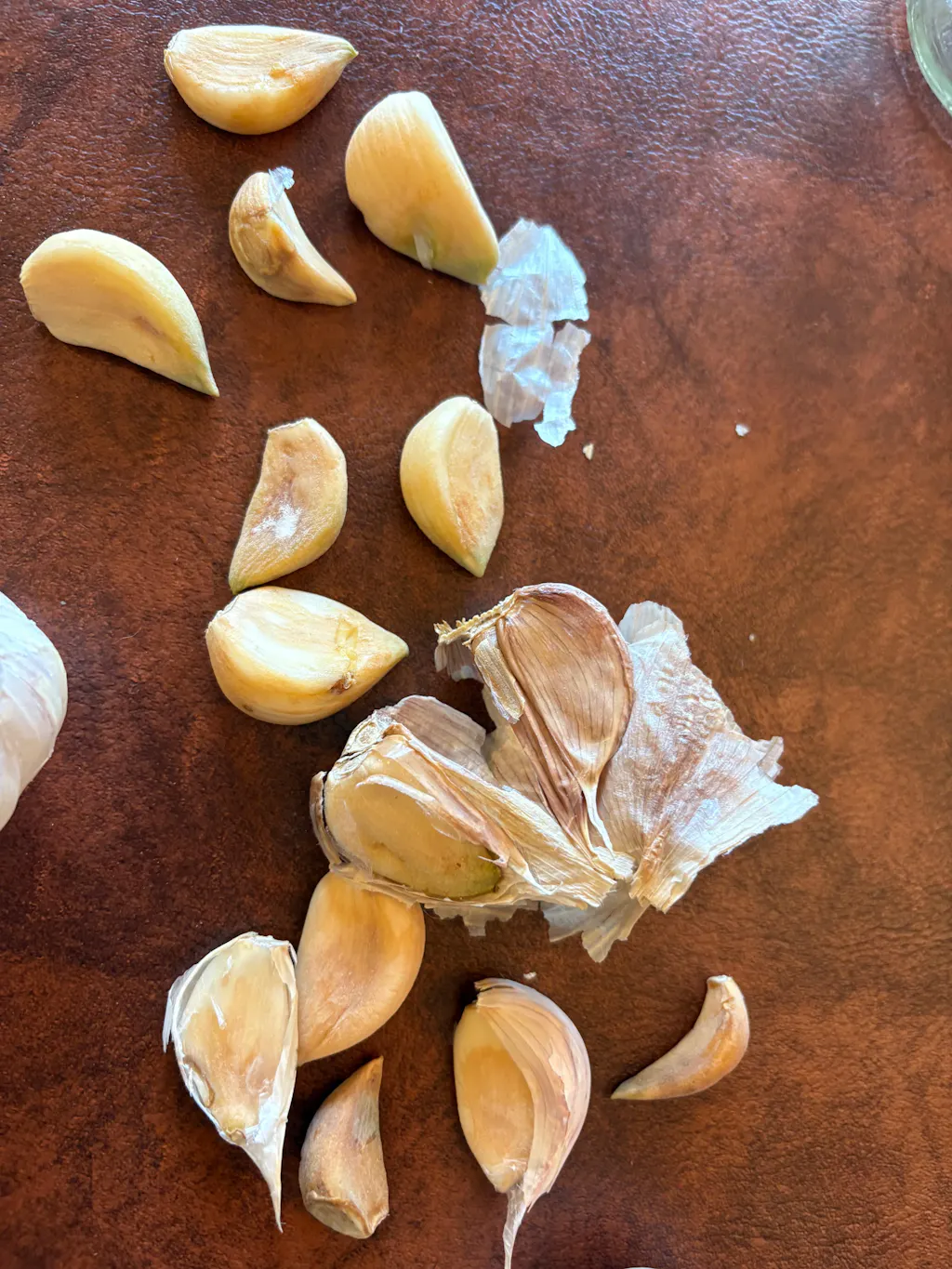 Chesnok Red Garlic | GARLIC / 1 pound | Territorial Seed