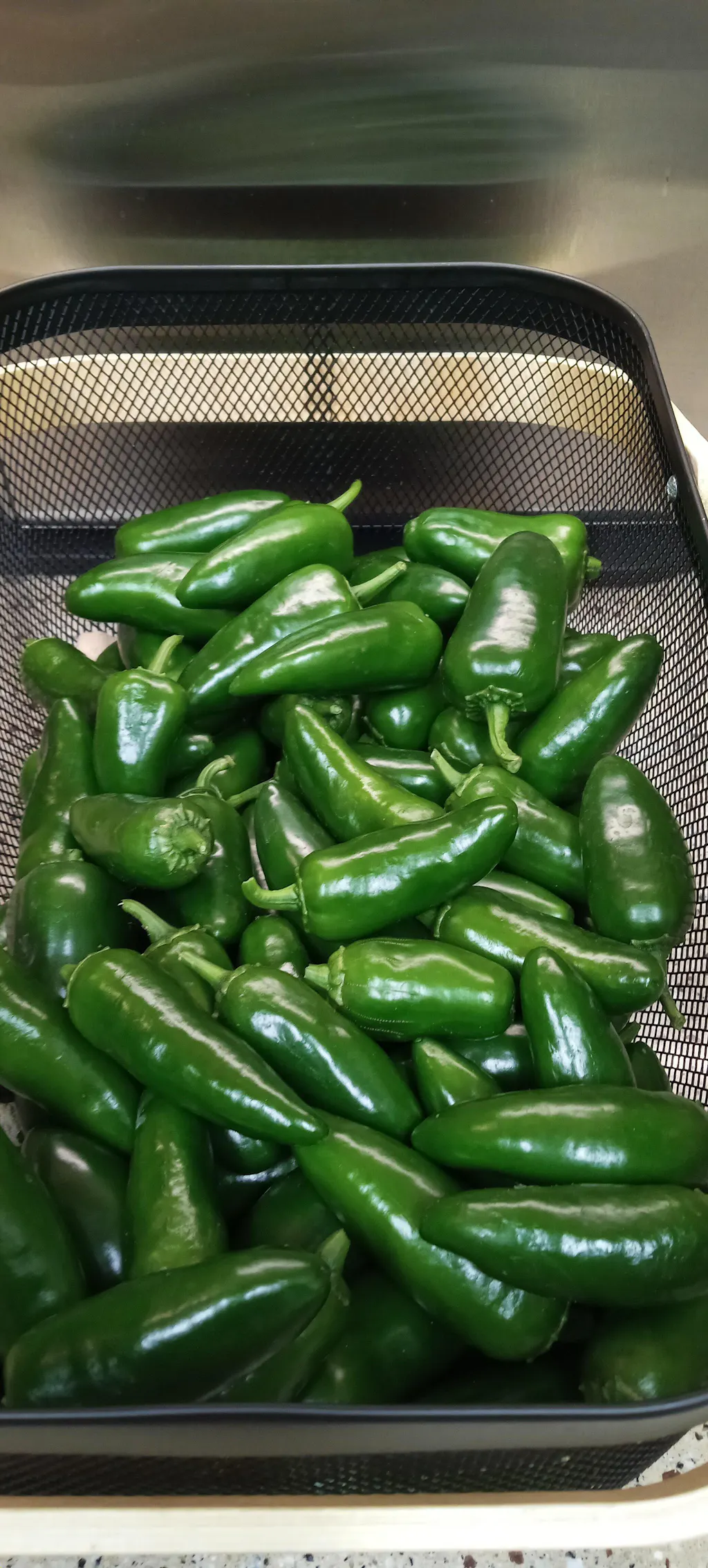 Megatron Pepper | SEED / 25 seeds | Territorial Seed