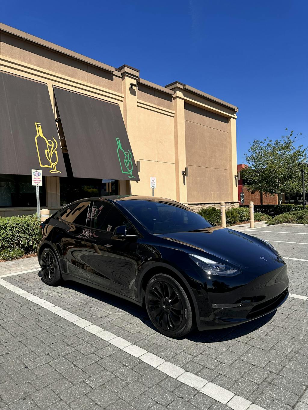 Model Y Wheel Covers - Induction - Tesloid USA