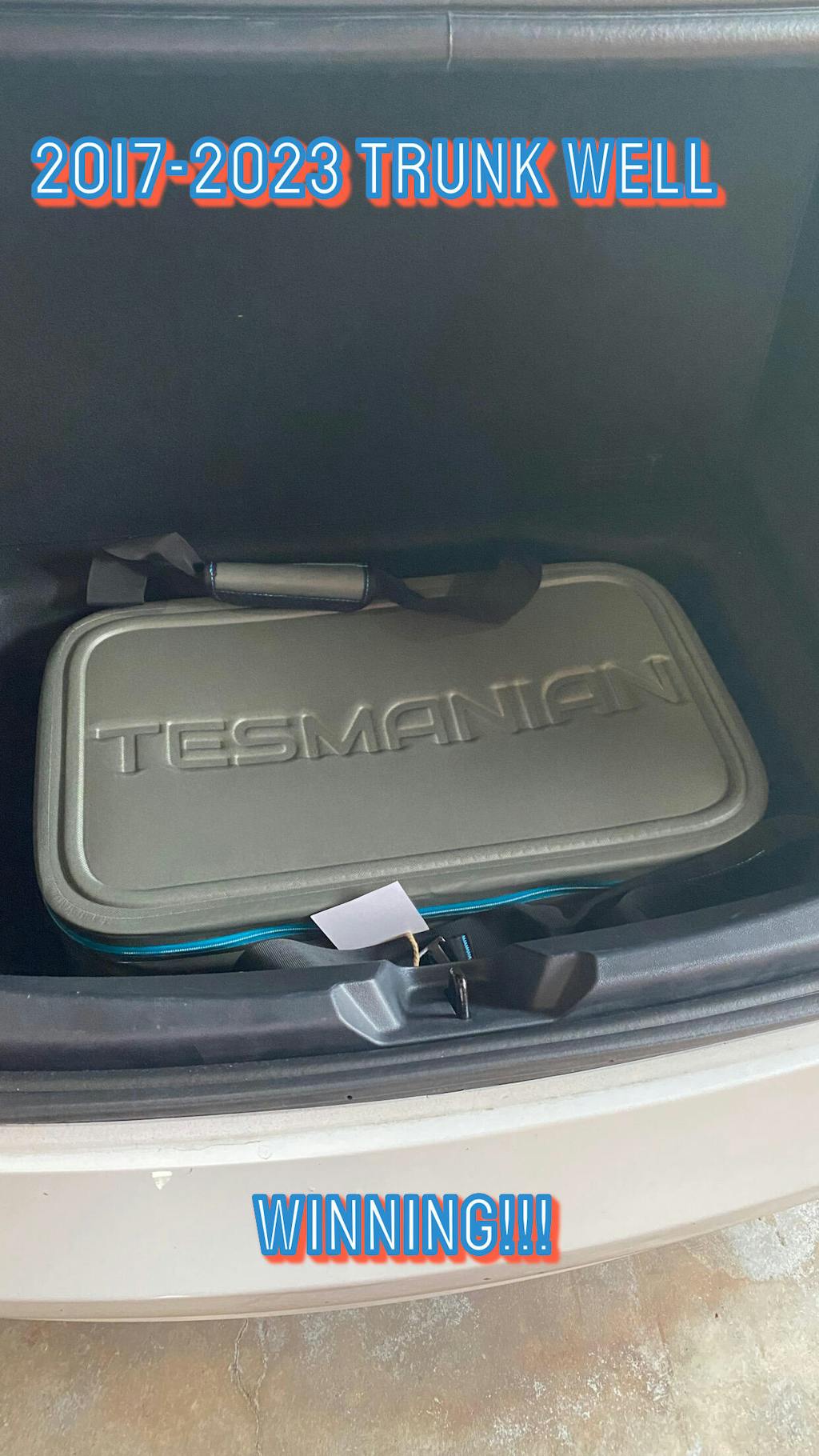 Tesla Model 3 Soft Cooler | TESMANIAN