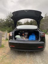 Privacy Screen for Model 3 | Tesla Mattresses + Privacy Screens
