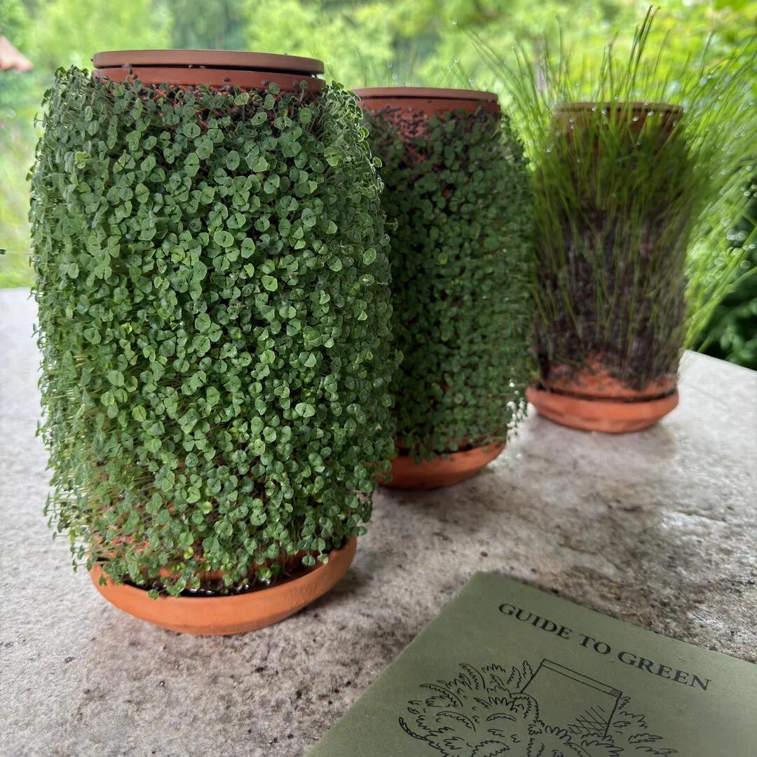 tevaplanter - visibly follow the journey from seed to plant