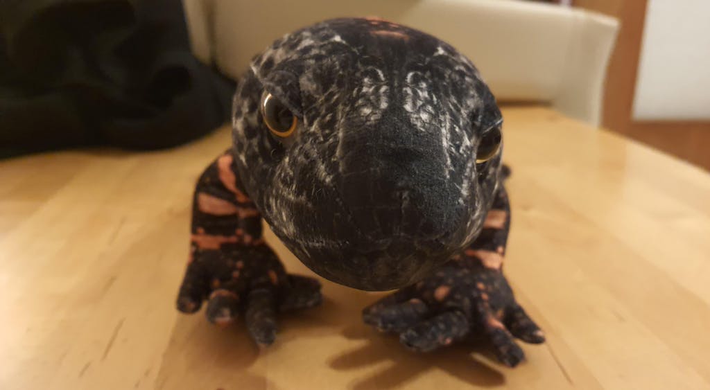 Gila Monster 24.5" Plush Desert Stuffed Animal – Texas Toy Distribution