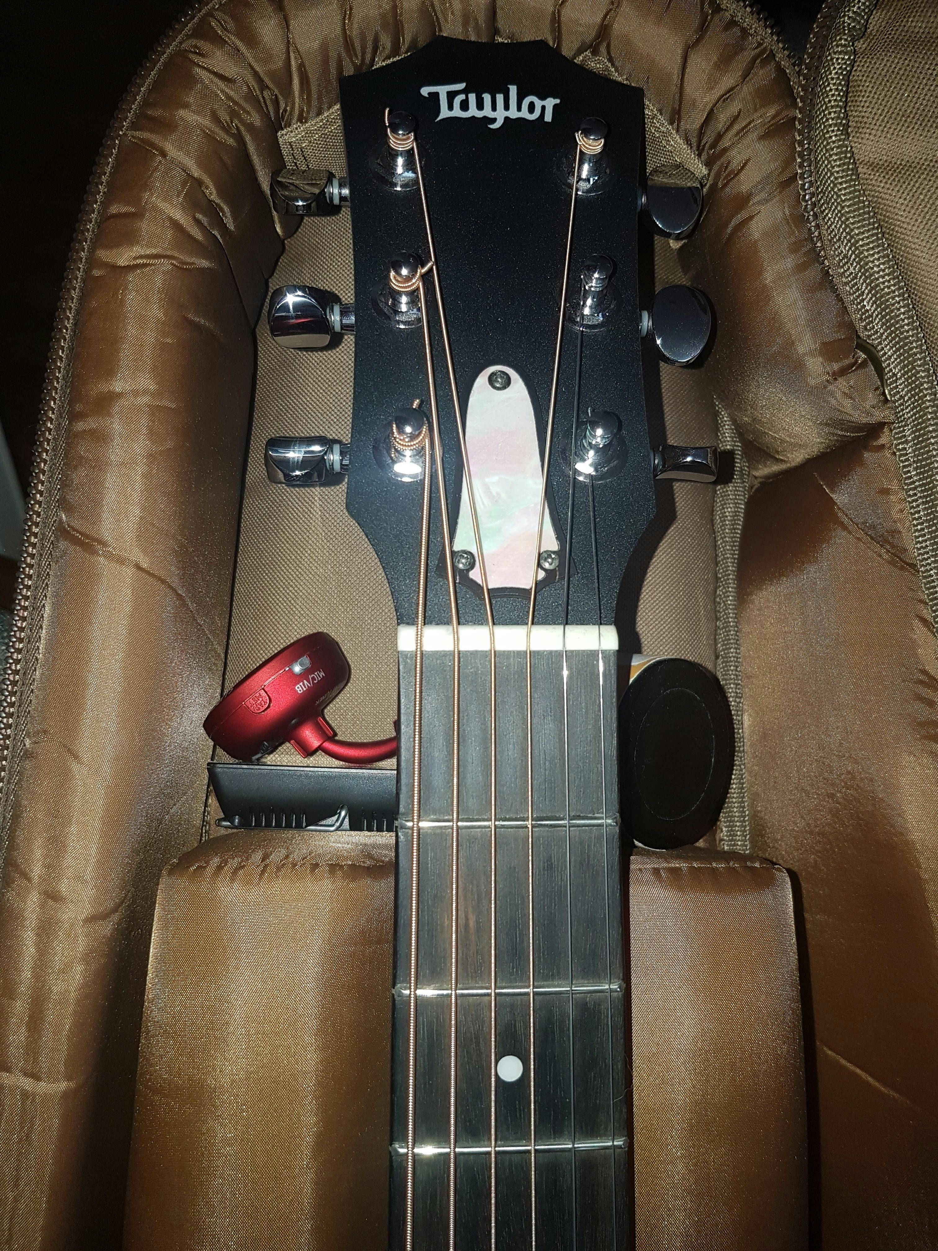 Custom Truss Rod Cover | Shape TR12 for Many PRS Guitars