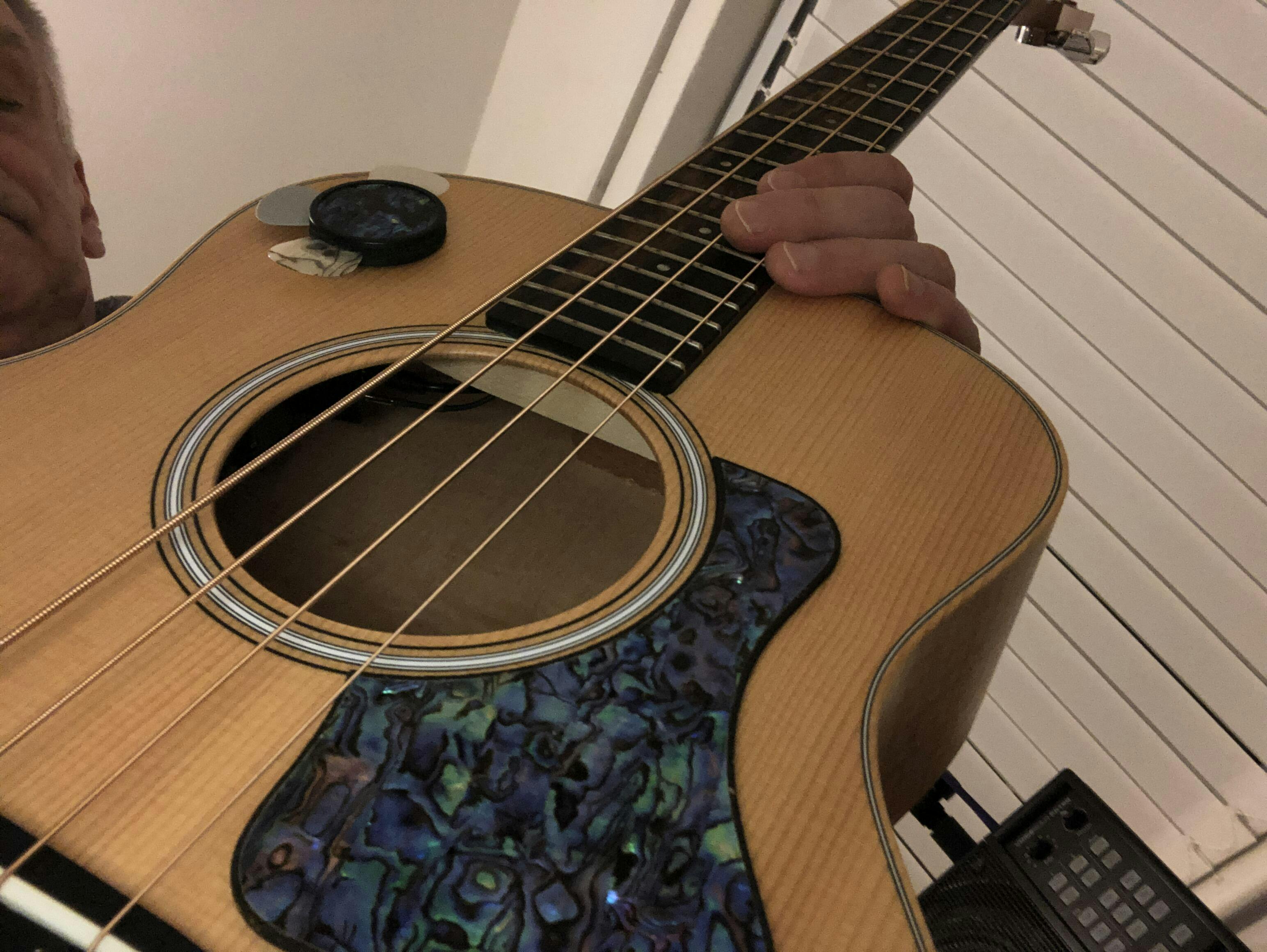 Blue Abalone | Pick Puck 2.0