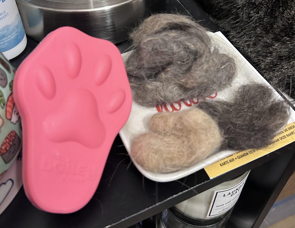 The Bailey Brush Cat Brush – Vet and Groomer Preferred