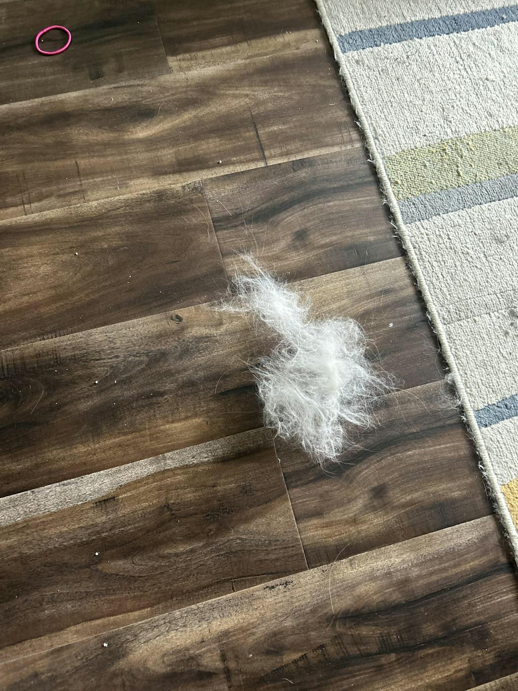 The Bailey Brush Cat Brush – Vet and Groomer Preferred