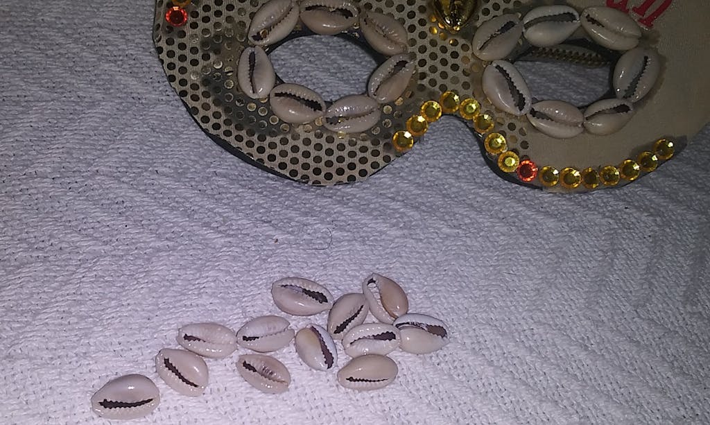 Cowrie Shells (Small) – The Bead Chest