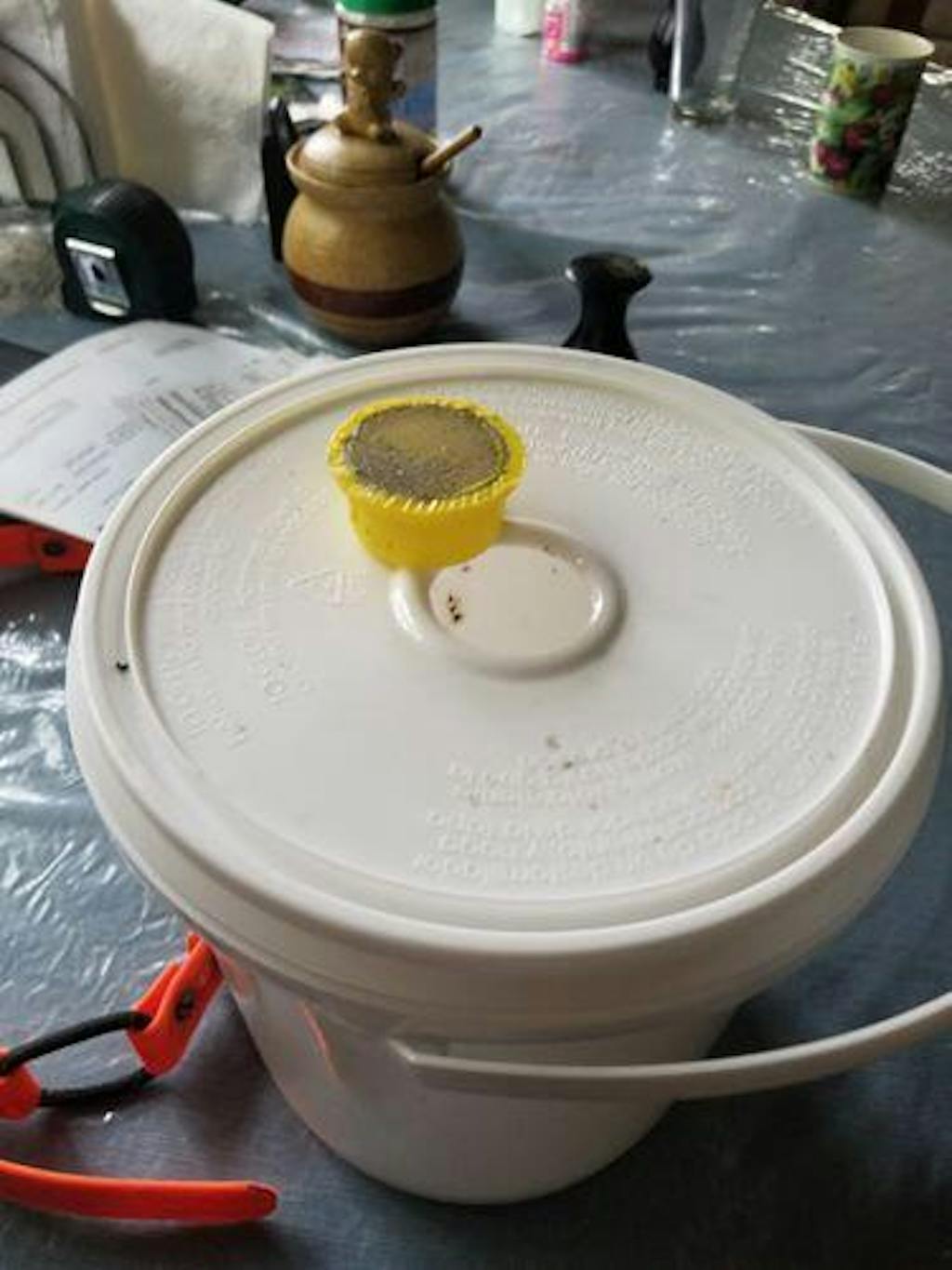 Cap Plug - cardboard nuc boxes 1 1/2" — The Bee Supply