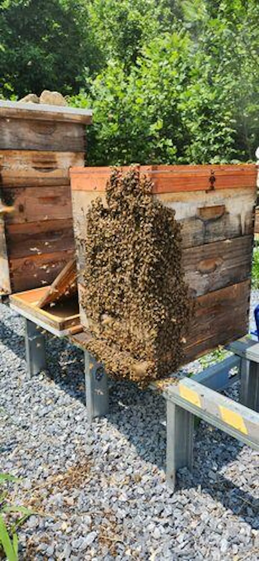 Fume Board - Premium Design — The Bee Supply