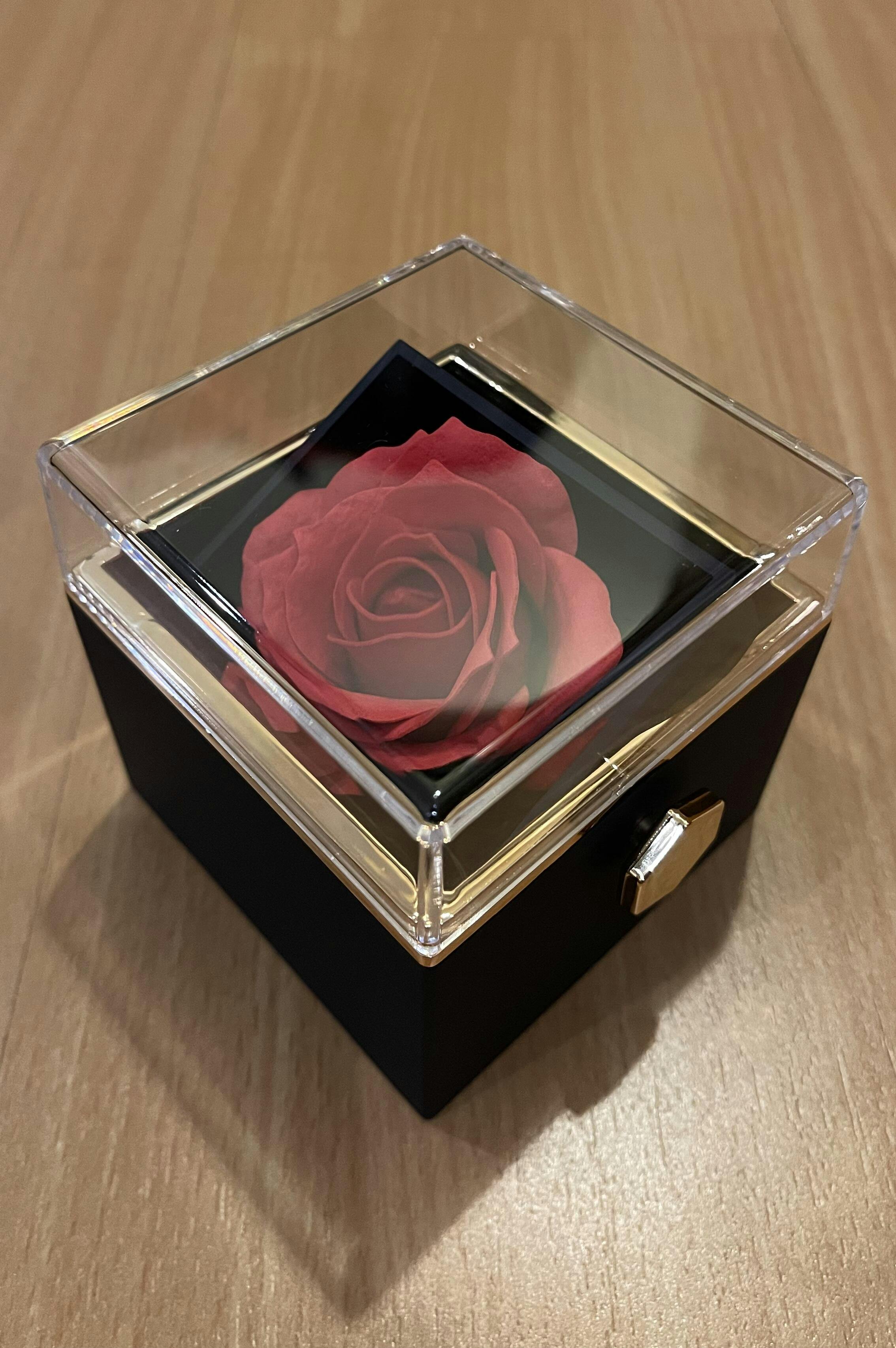 Hidden Jewelry Box – The Beginning Official