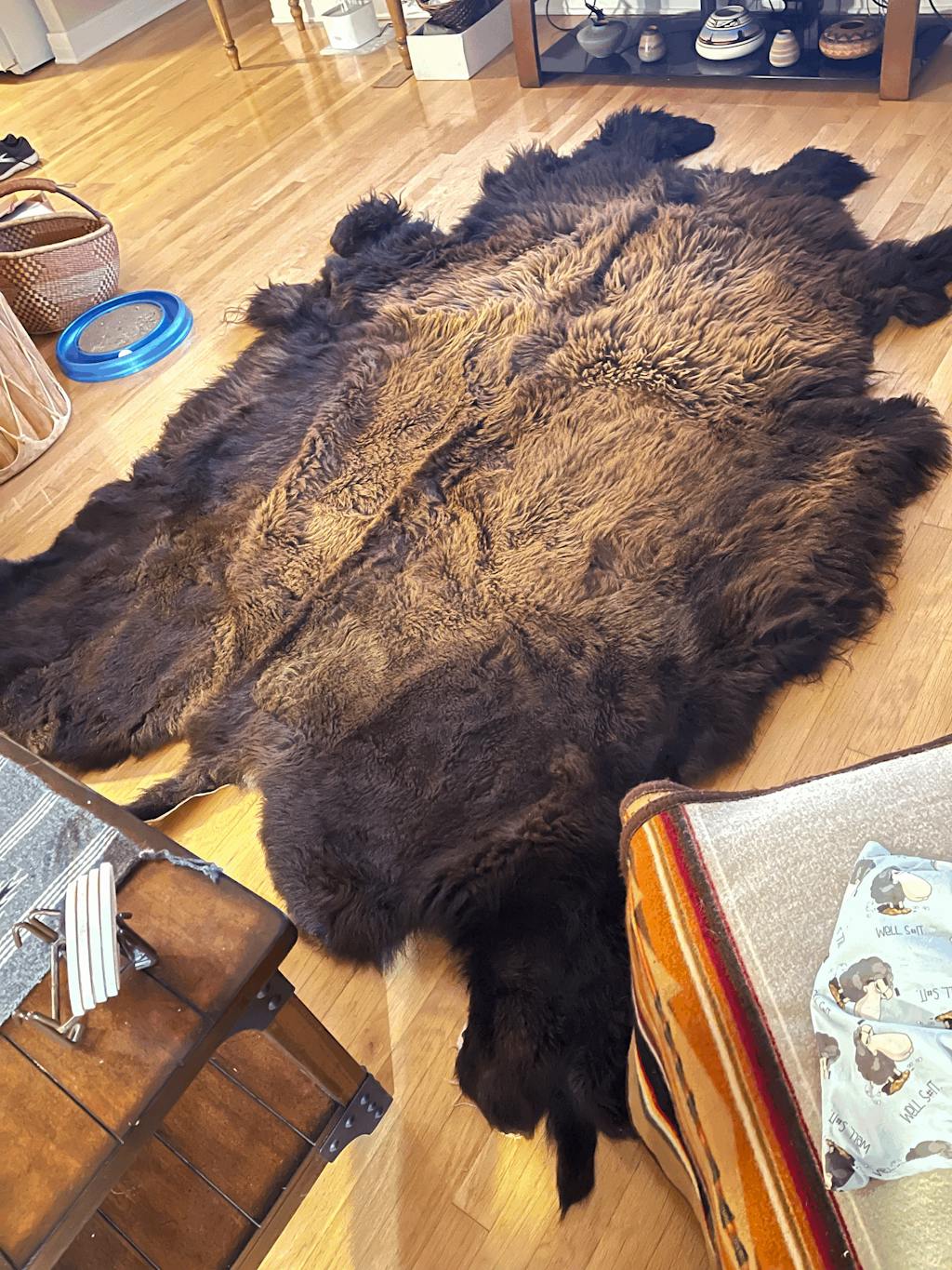 Bison (Buffalo) Hide / Robes – The Buffalo Wool Co.