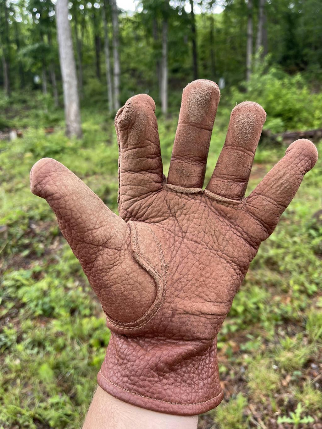 Bison Leather Gloves#N#– The Buffalo Wool Co.