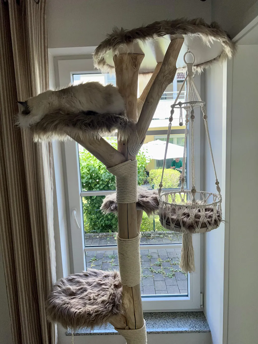 Kratzbaum Naturholz hoch Katzenbaum Natur Naturkratzbaum – The Chilling Cat