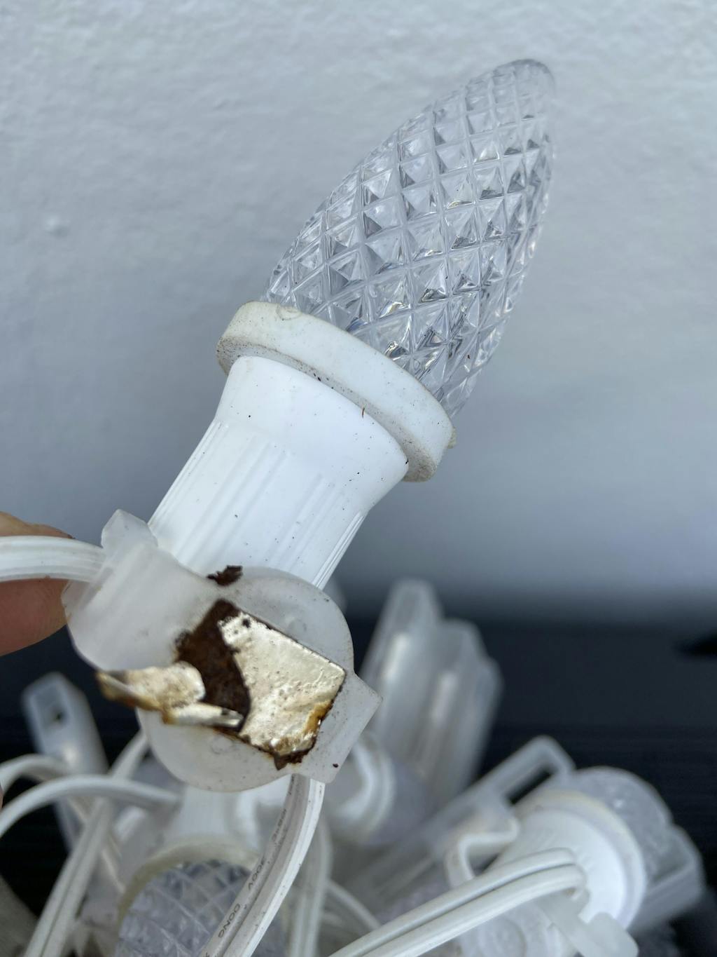 Clips, Magnetic Clips for C9 Bulbs/Sockets, Pack of 50 – The Christmas ...