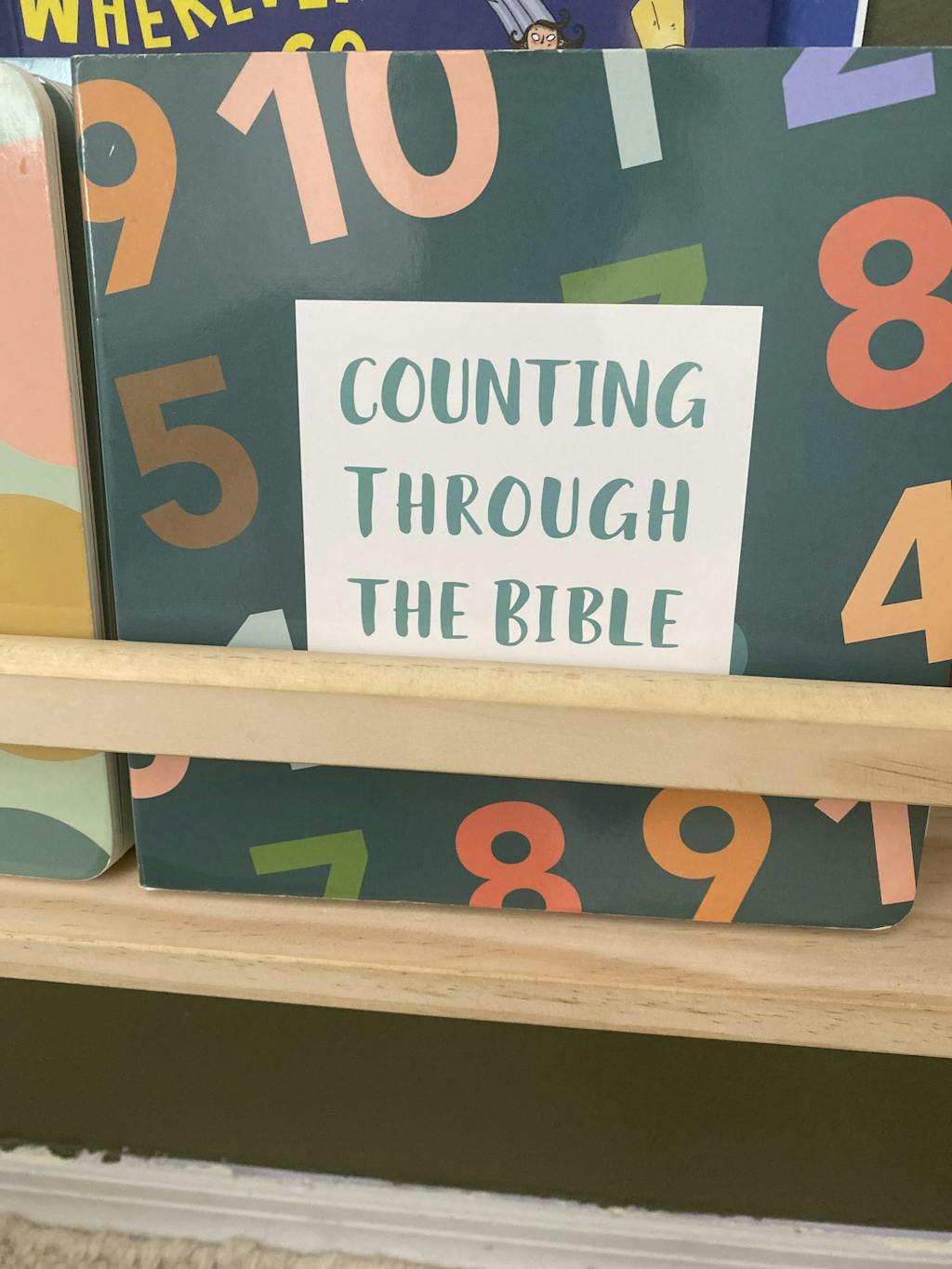 Counting Through the Bible Board Book – The Daily Grace Co.