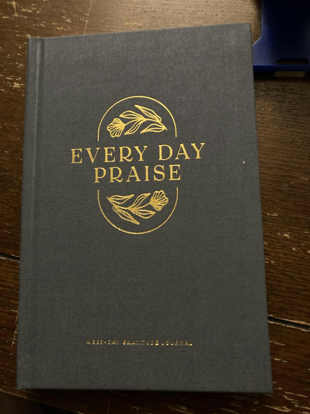 Every Day Praise Journal - Blue Bound – The Daily Grace Co.